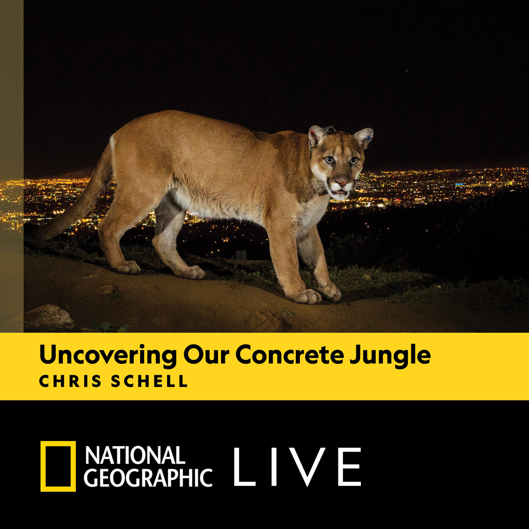 Uncovering Our Concrete Jungle: Chris Schell | National Geographic Live ...